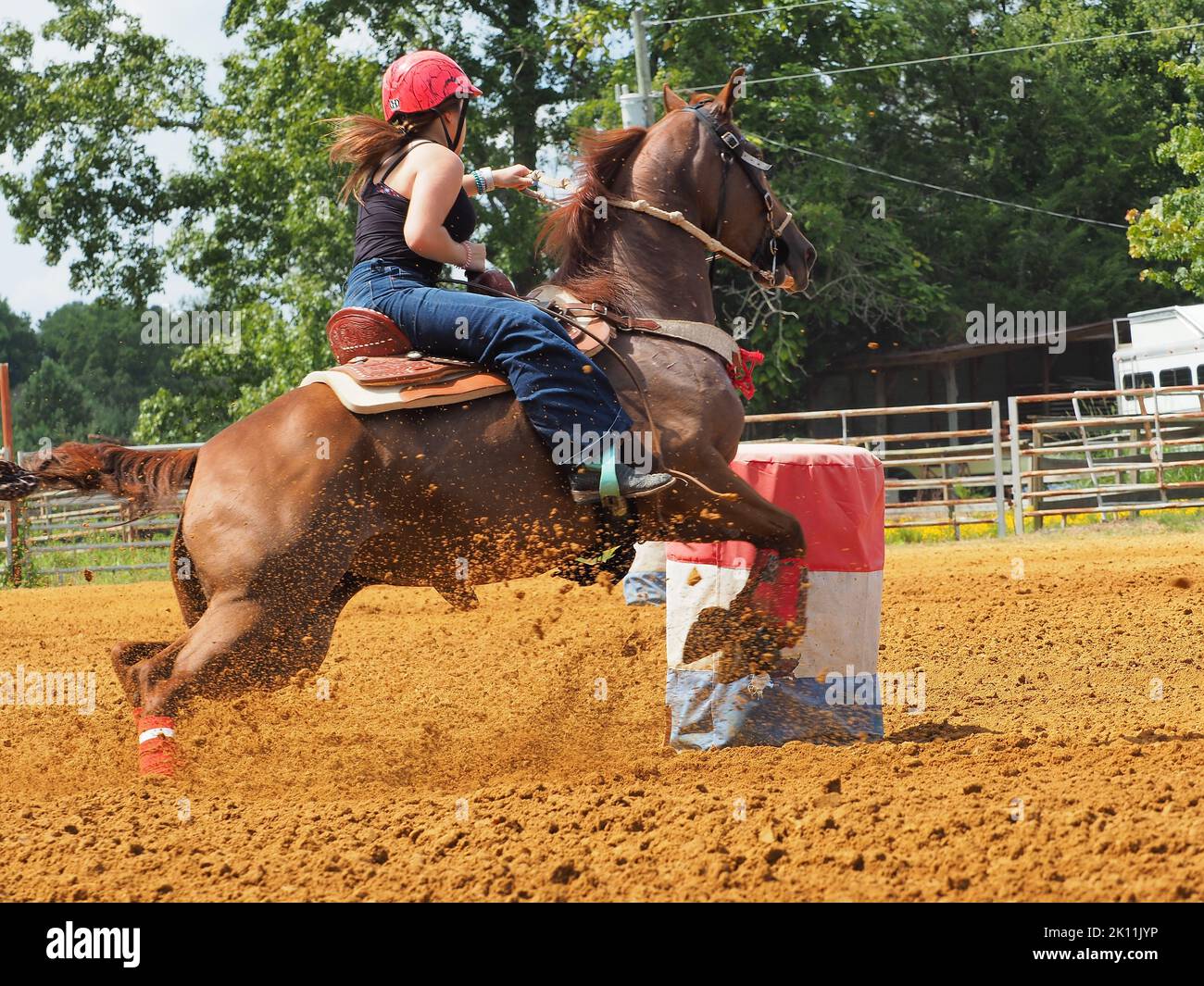 Young female Barrel Racing on Brown Quarter Horse Stock Photo - Alamy