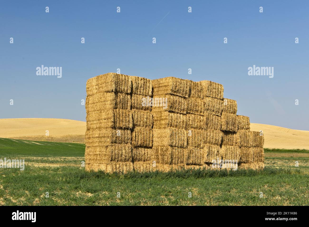 Large hay bales put in a large hay stack in north east Washington state ...