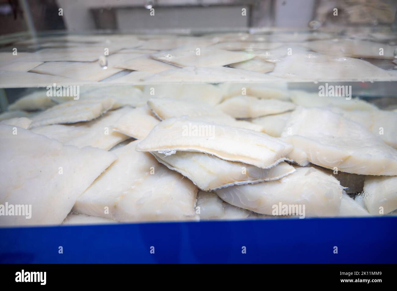White salted and dried bacalao codfish in watertank, traditional ...