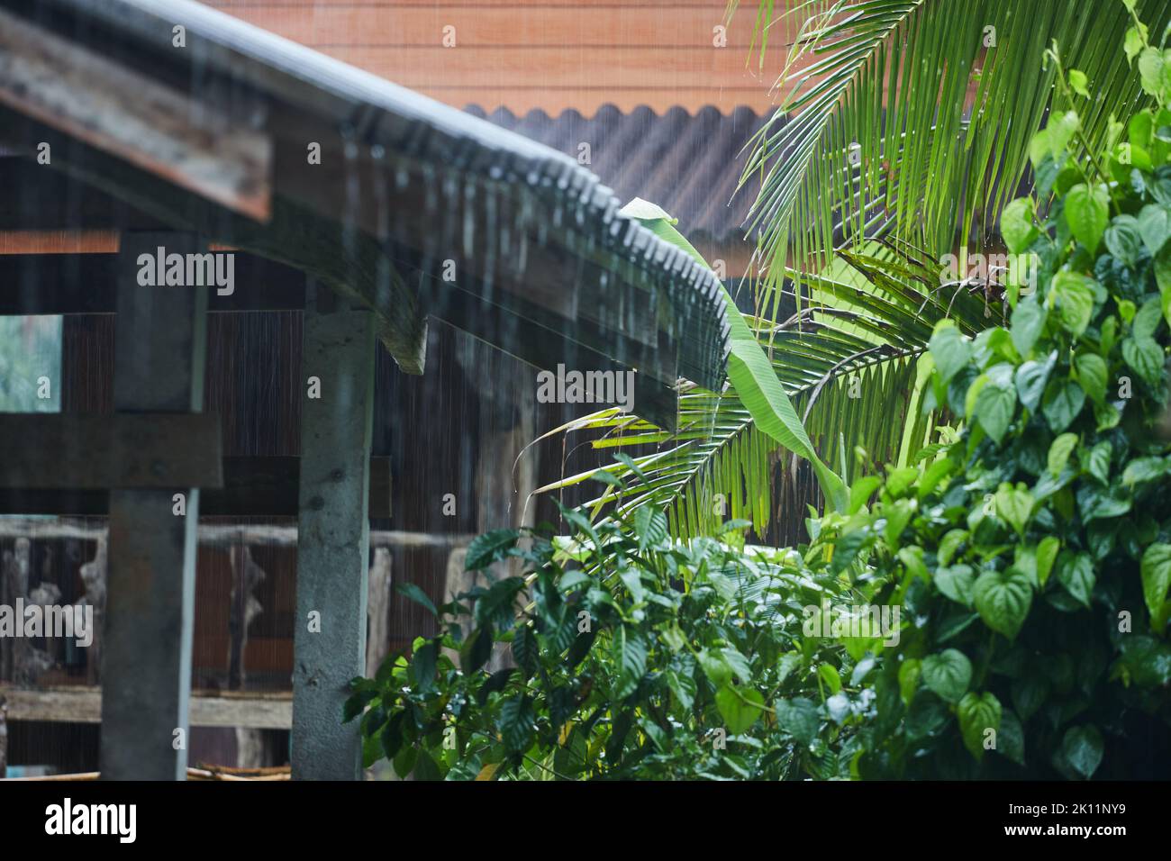 Rainy season in rural scene Stock Photo - Alamy