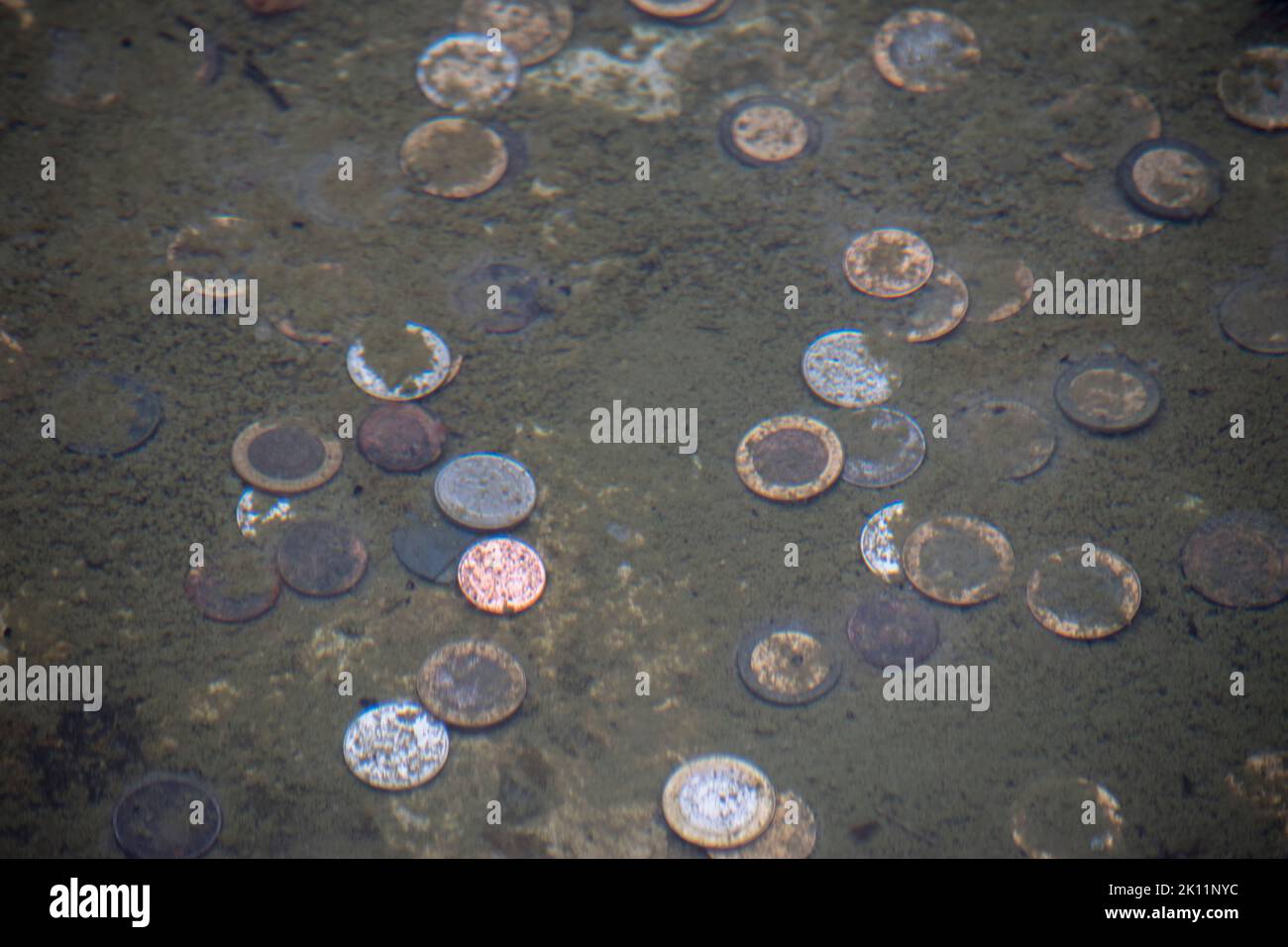 coins at the bottom of the pond Stock Photo - Alamy