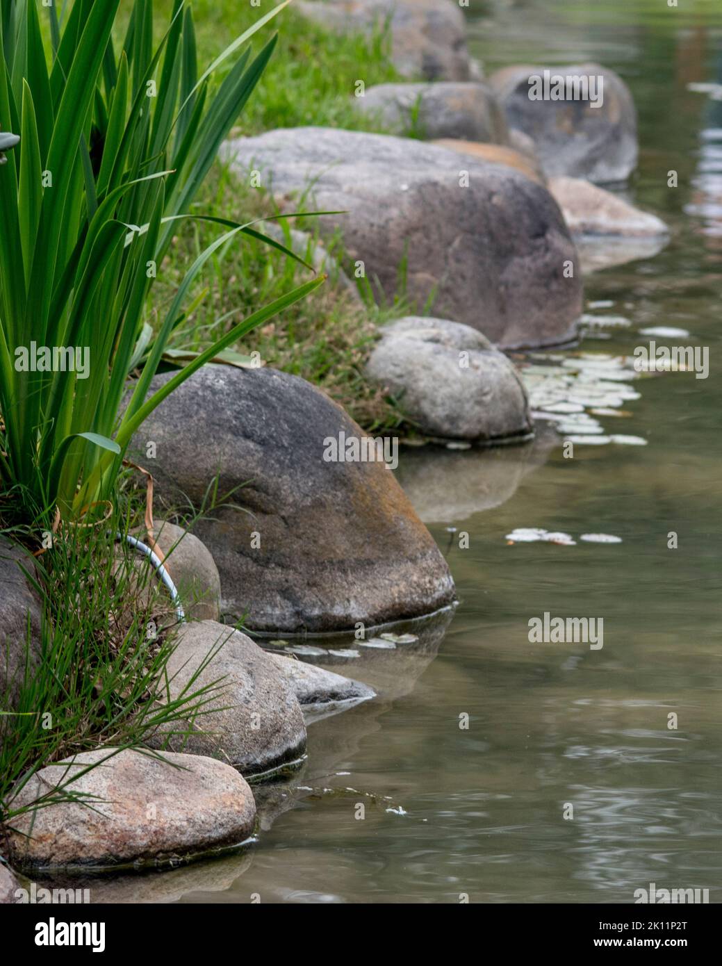 edge of the lake in the japanese garden Stock Photo - Alamy