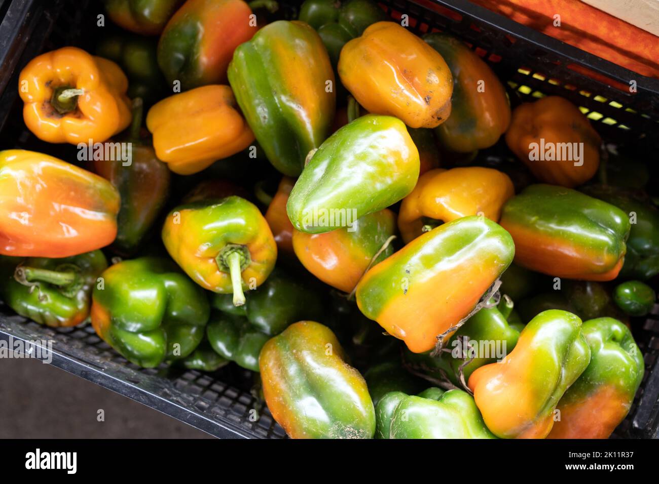 Organic and fresh mixed colors peppers in the case at the market Stock ...