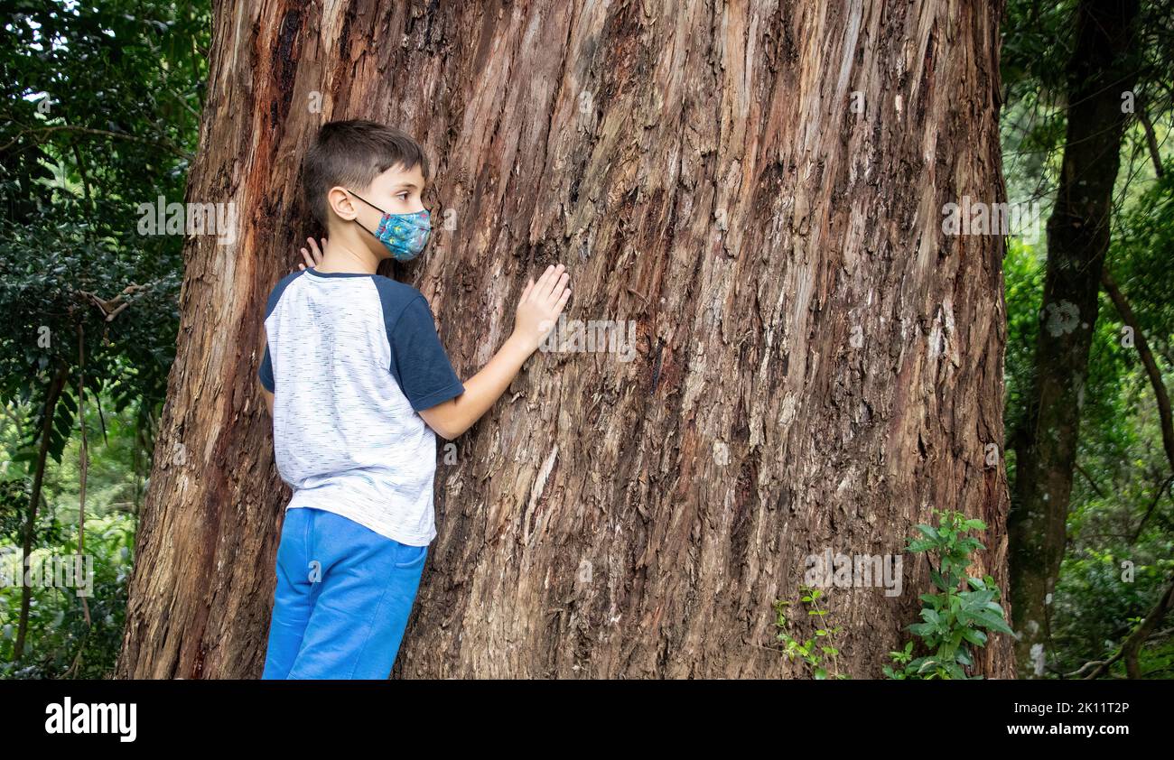 Boy leaning against tree trunk hi-res stock photography and images - Alamy