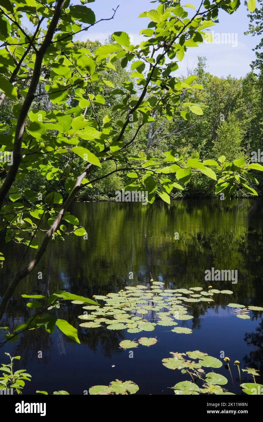 Floating in water late day sun hi-res stock photography and images - Alamy