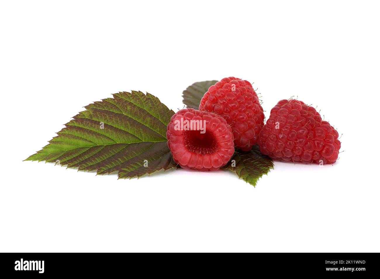 Red ripe raspberry berries with green leaves. Side view, isolated on ...