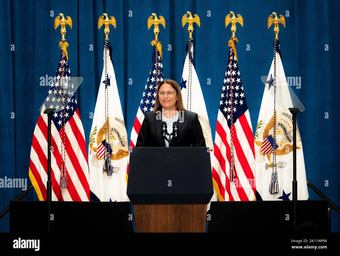 Doreen Harris, President and Chief Executive Officer, New York State ...