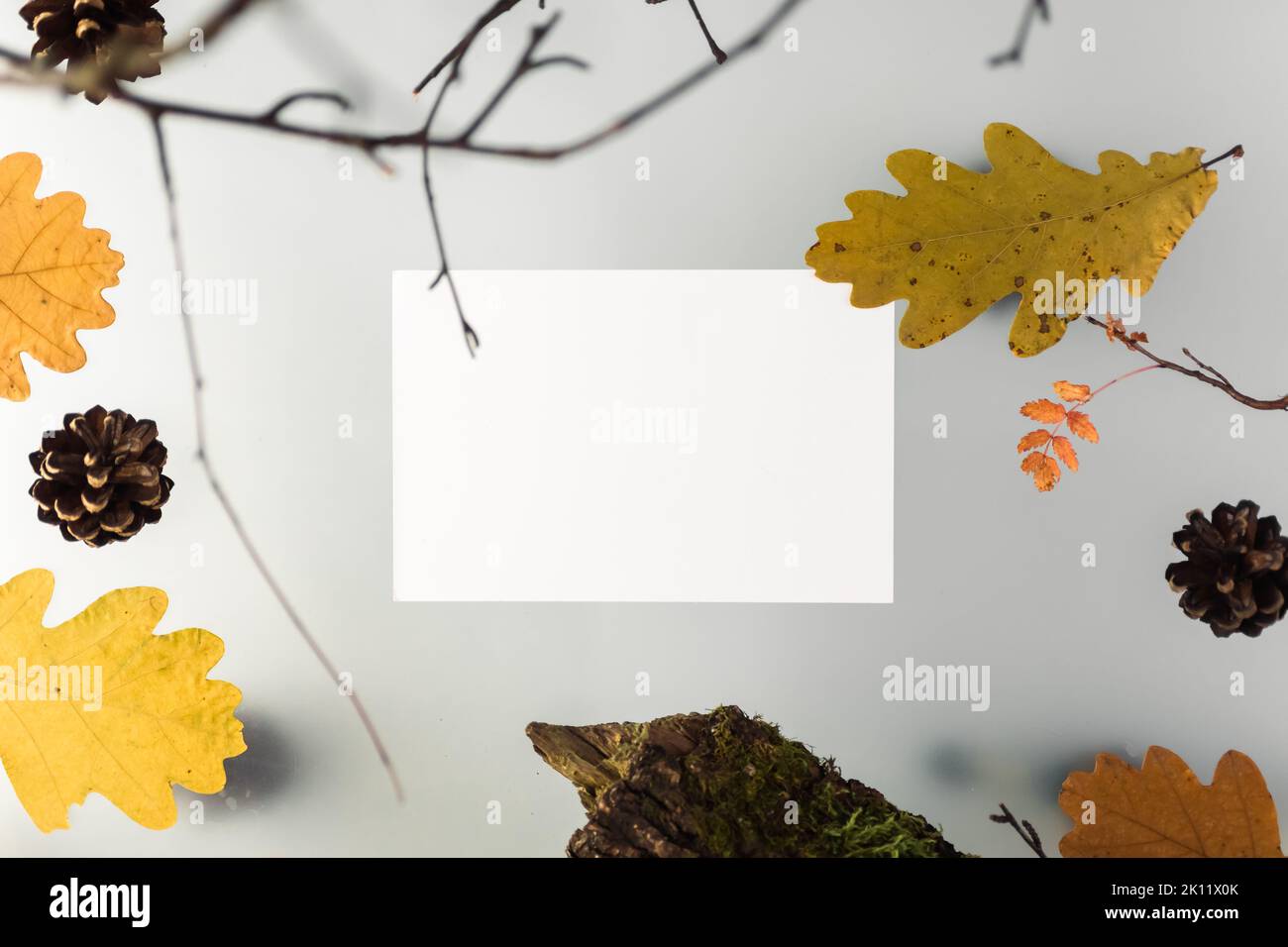 Autumn leaves on a hazy multi-level background, with natural elements ...