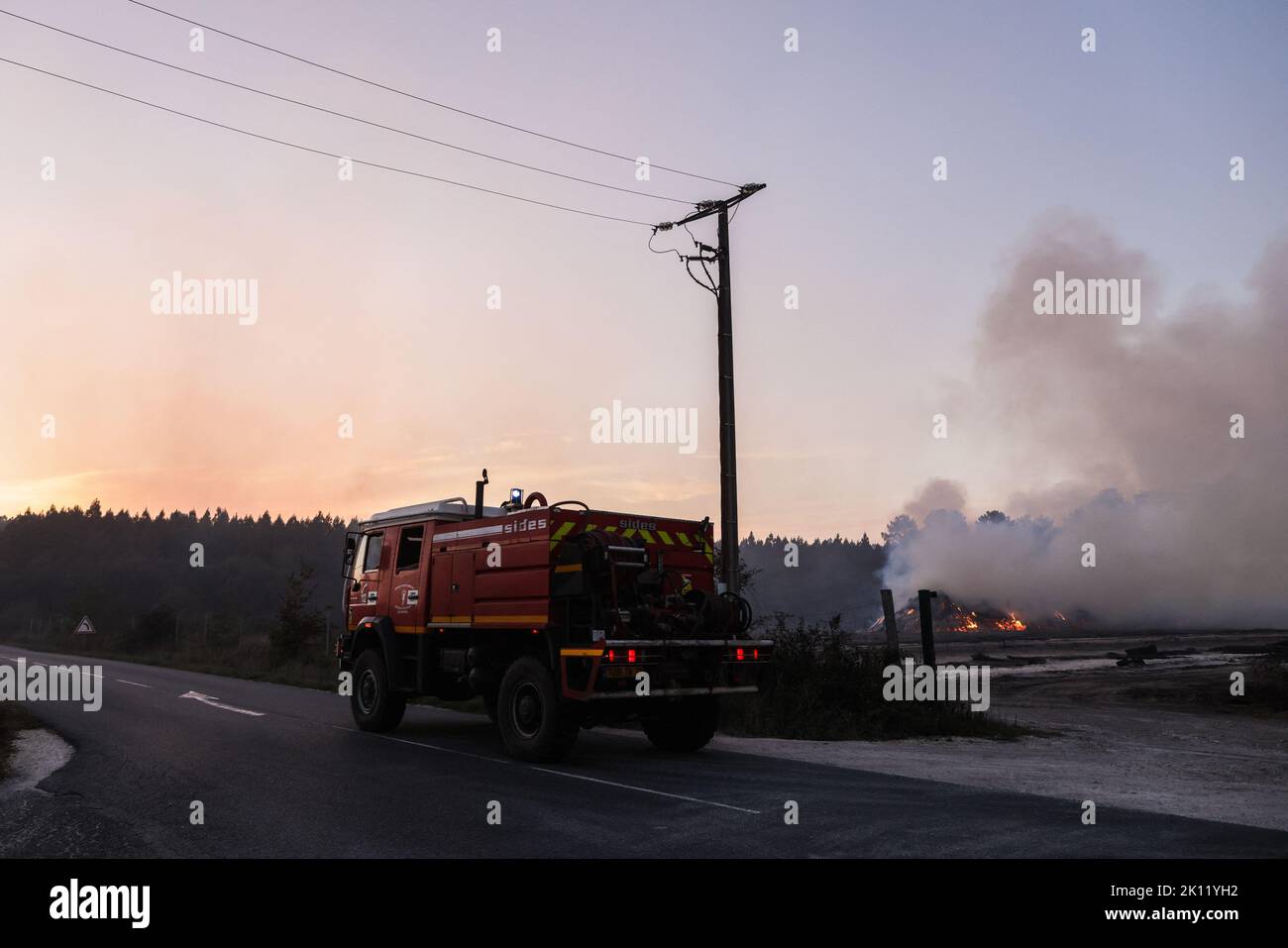 Forest fires are in progress since September 12, more than 3000 ...