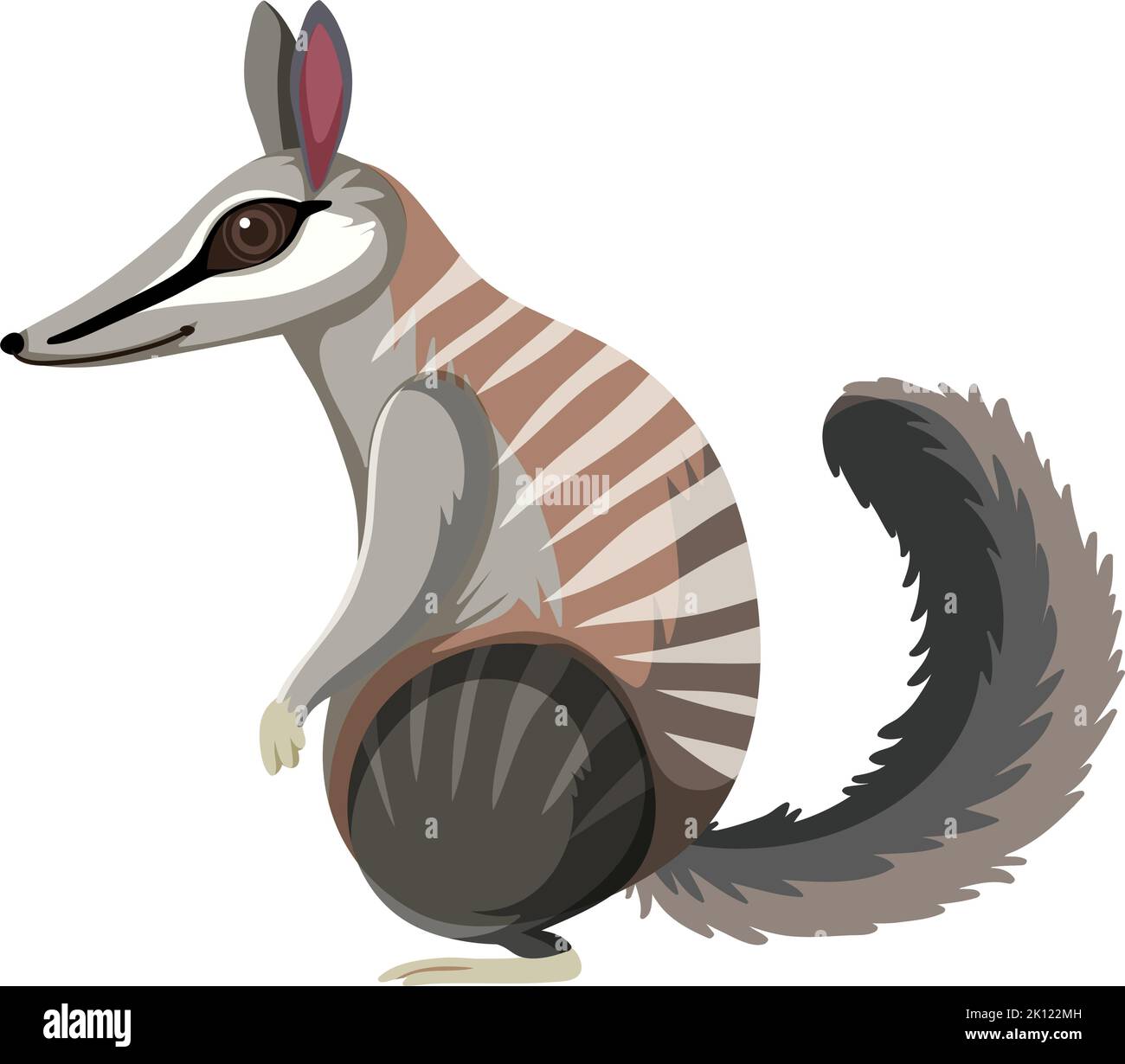 Side view of numbat illustration Stock Vector Image & Art - Alamy