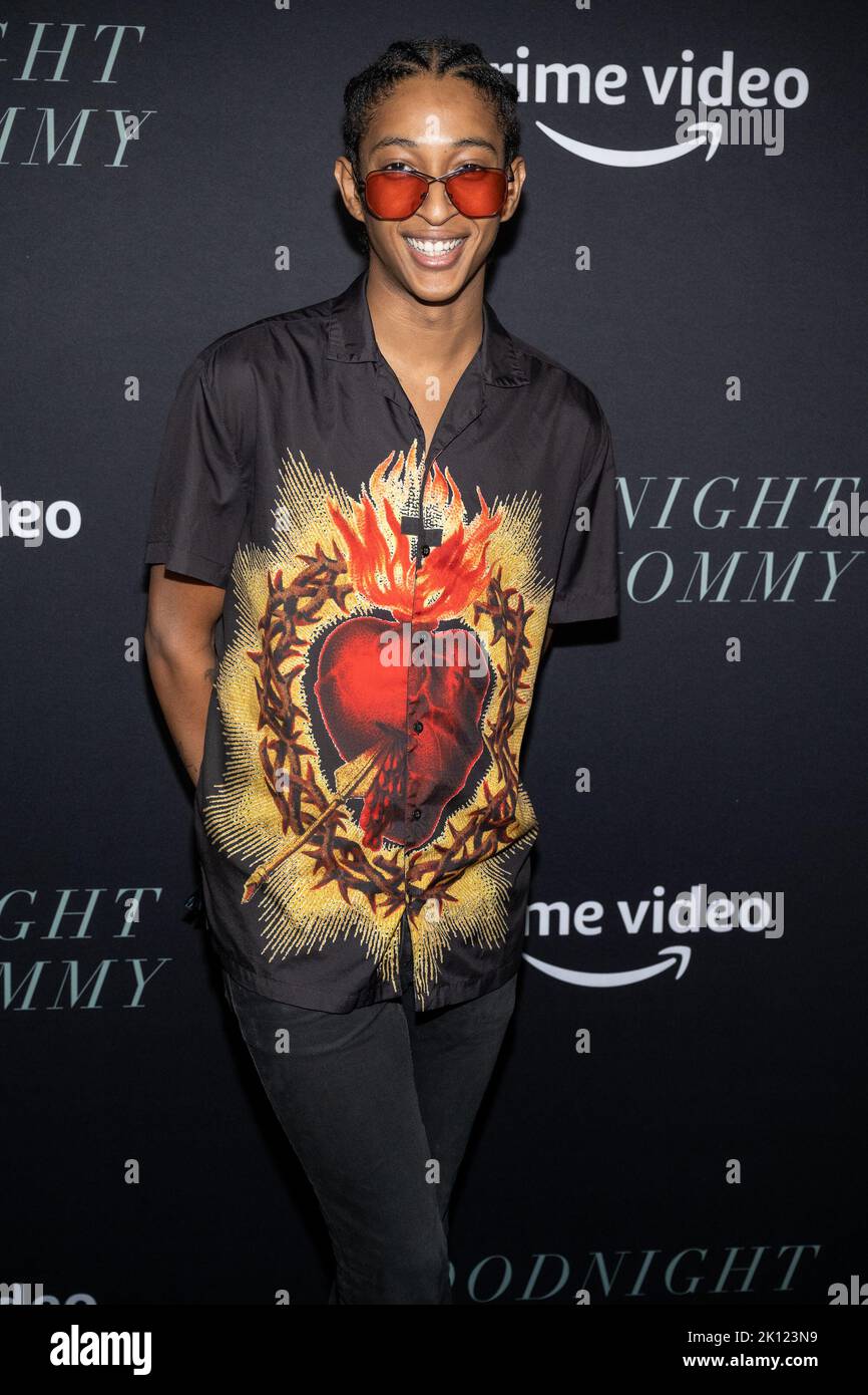 Zach Shaw attends the NYC premiere of “Goodnight Mommy” at The ...