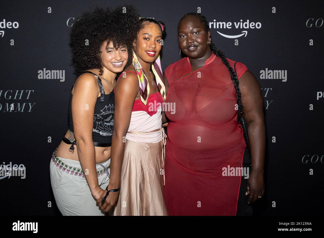 (L-R) Roseline Lawrence, Alina Carson, and Joi Broughton attend the NYC ...