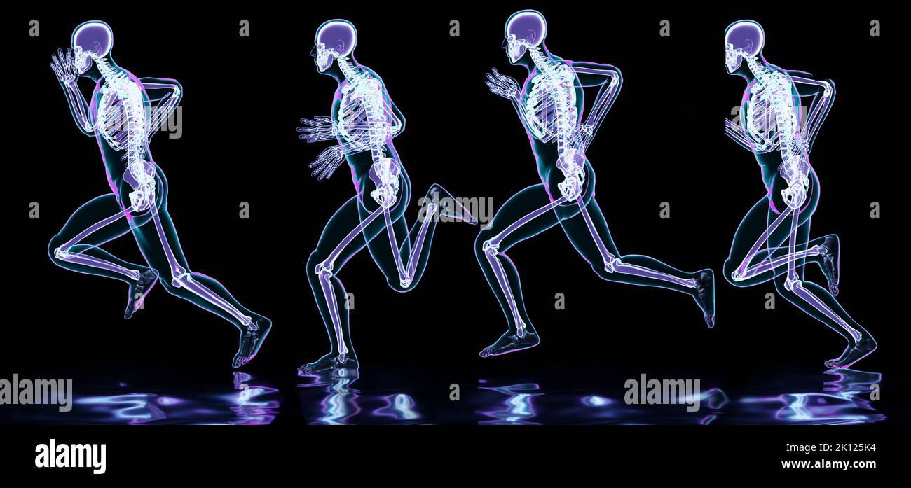 skeleton system of running man, bone Anatomy while run, human physical and sport, joggers ...