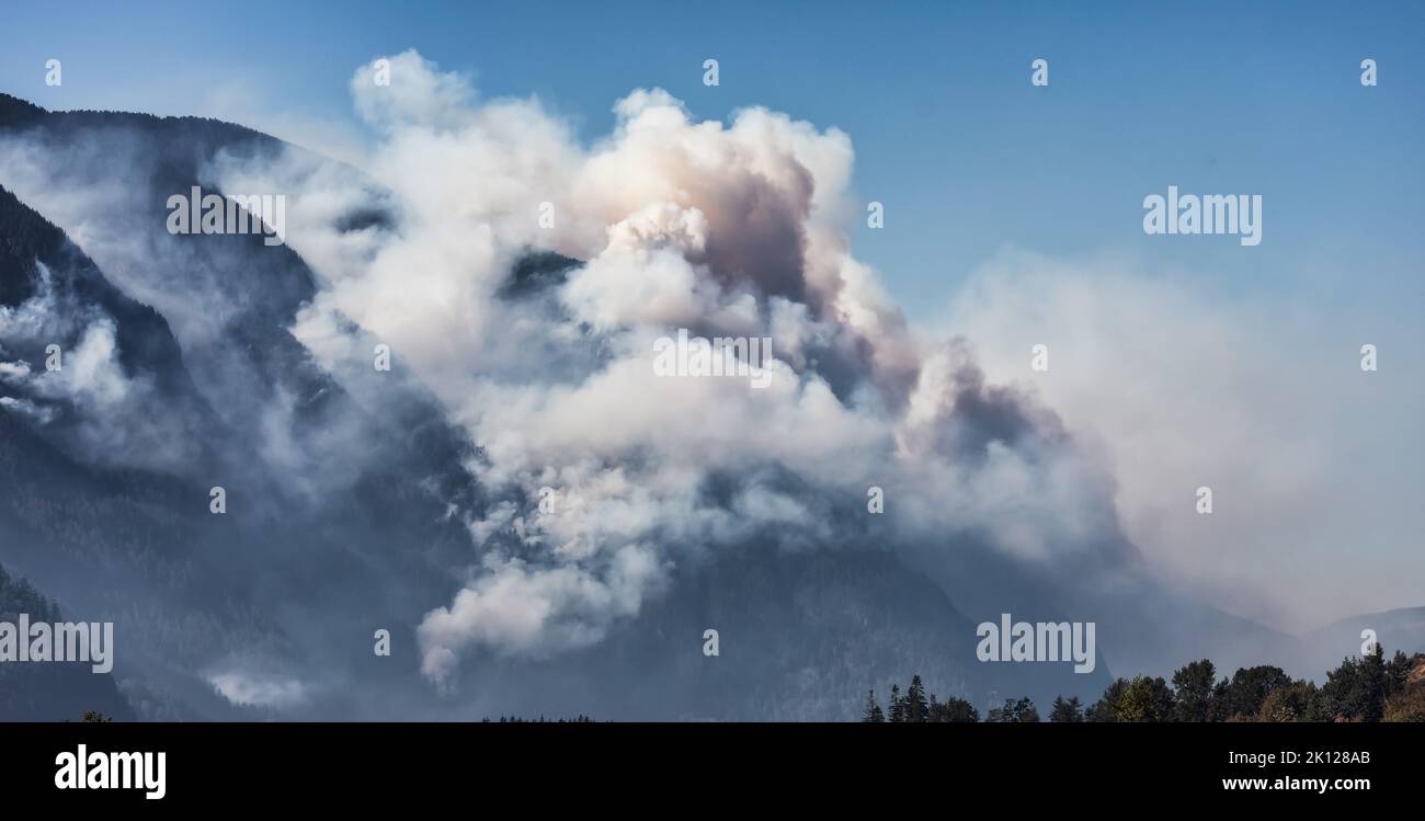 Bc forest fire hi-res stock photography and images - Alamy