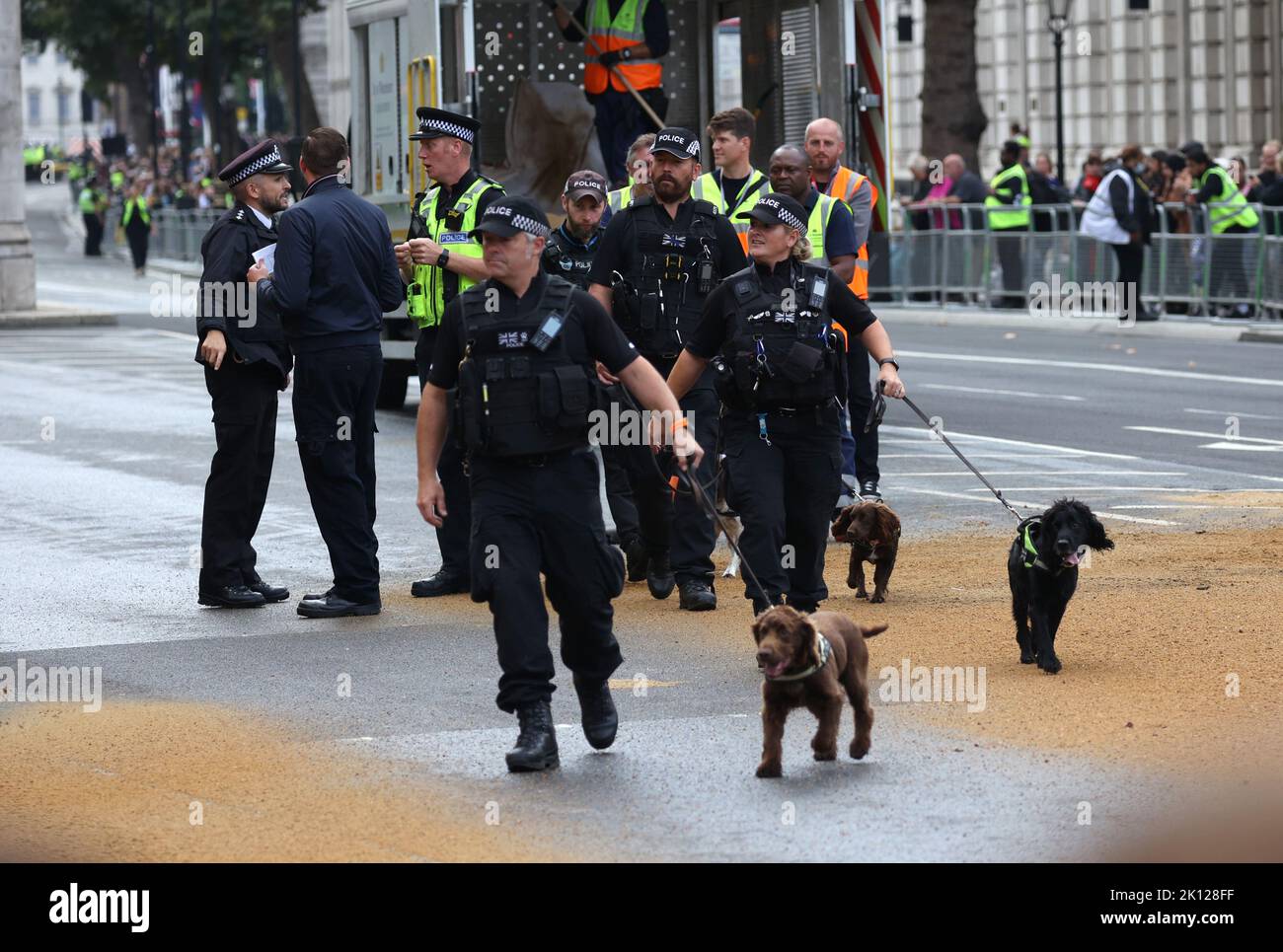 Queen elizabeth dogs palace hi-res stock photography and images - Alamy