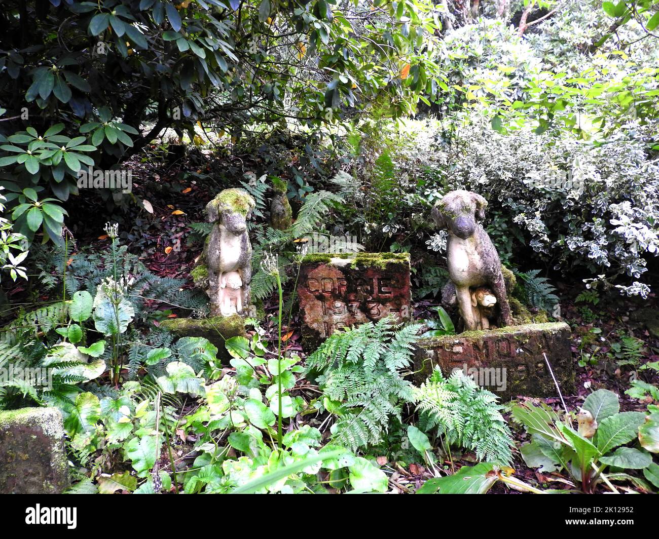 Dunragit hi-res stock photography and images - Alamy