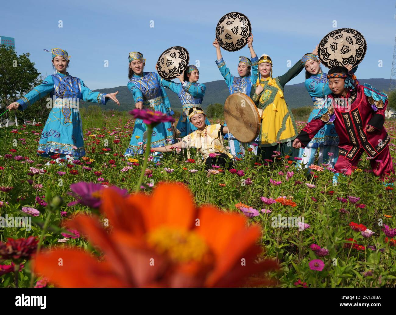 Vol one hi-res stock photography and images - Alamy