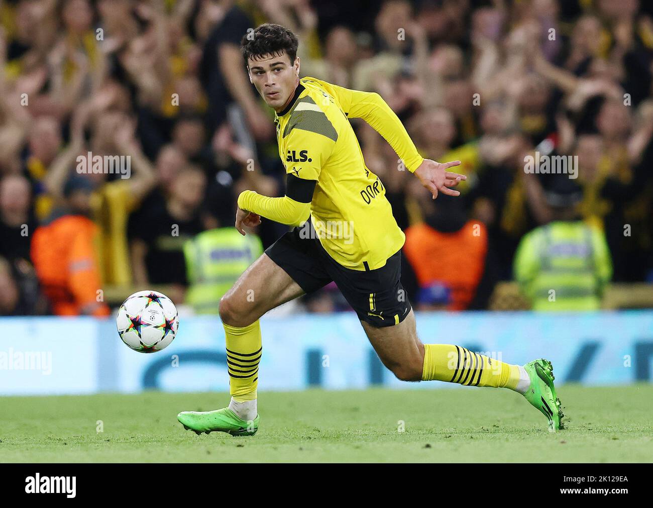 Reyna dortmund hi-res stock photography and images - Alamy