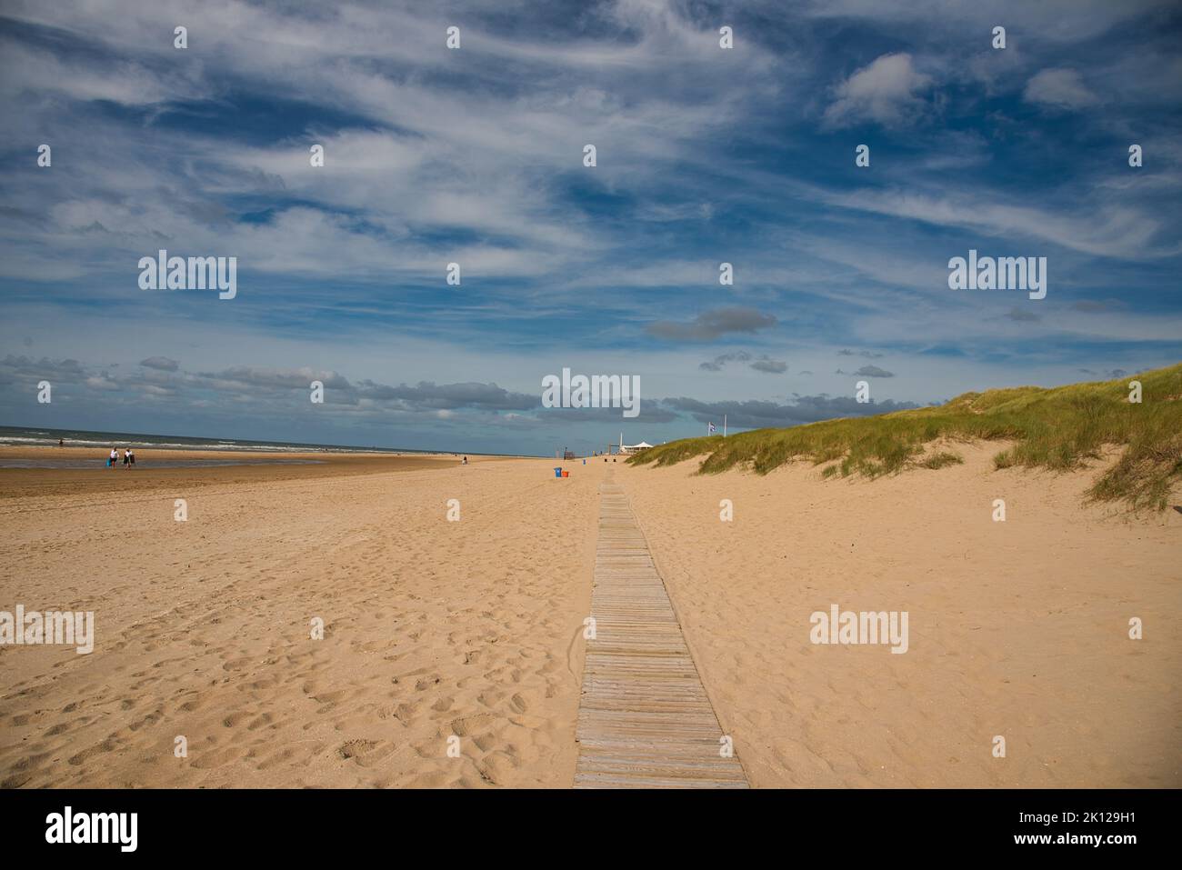 Beautiful beach of Bergen aan Zee in North Holland Stock Photo - Alamy