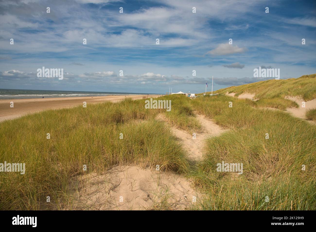 Beautiful beach of Bergen aan Zee in North Holland Stock Photo - Alamy
