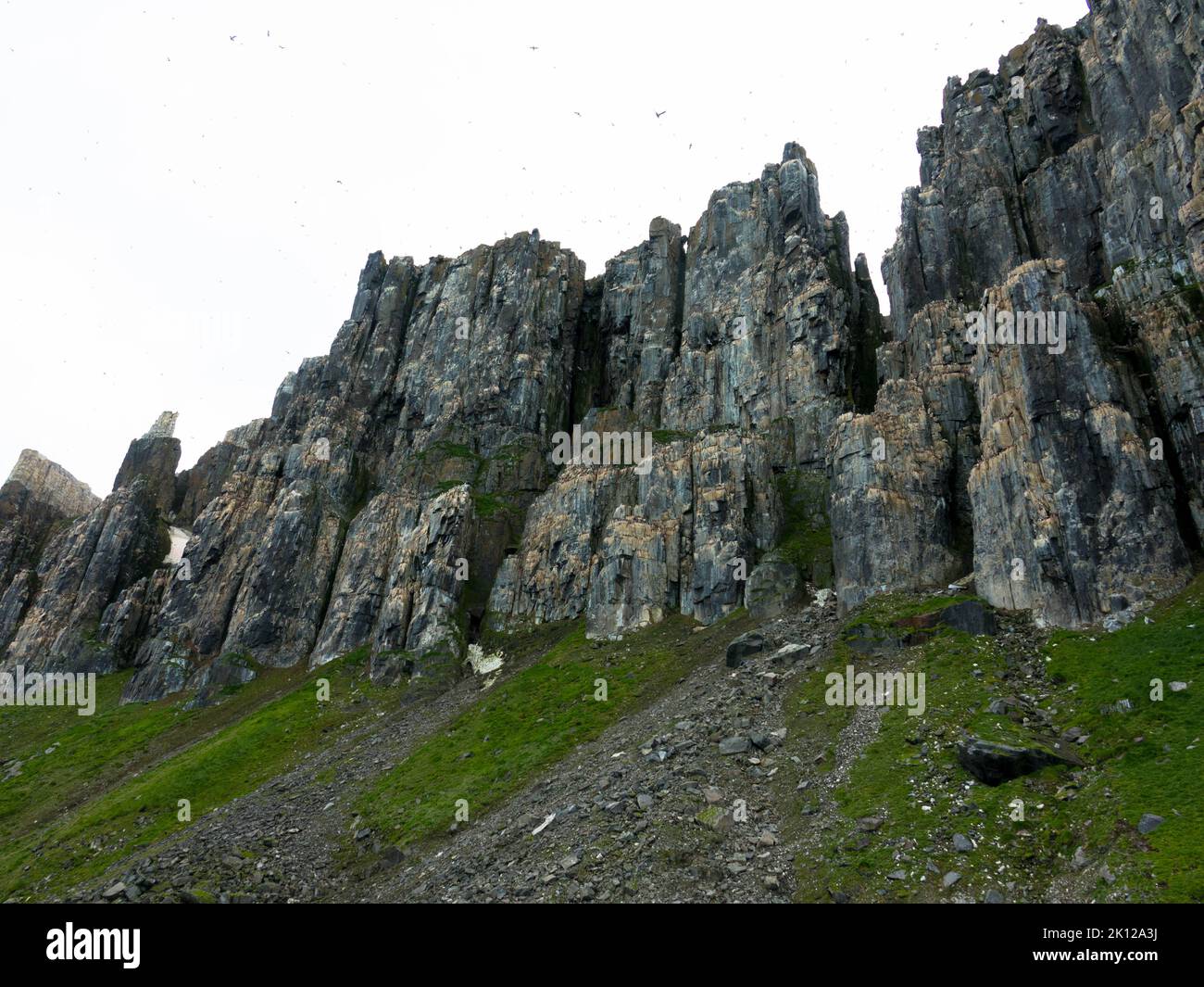 Alkefjellet is the most famous cliff in Spitsbergen archipelago. It is ...