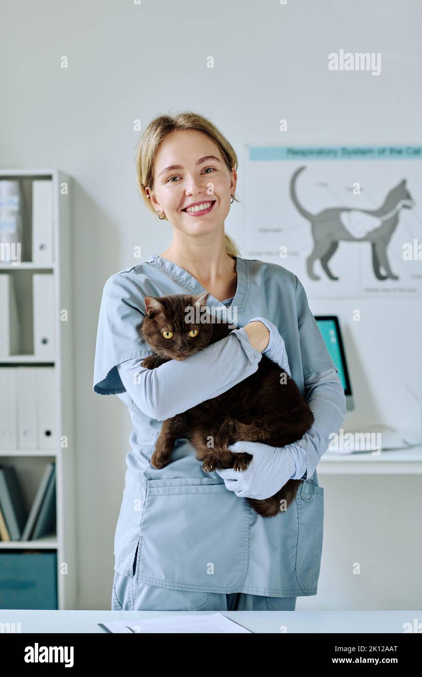 Portrait of young nurse in uniform holding cute cat while working at ...