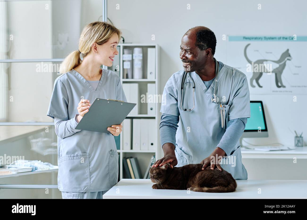 African veterinarian in uniform examining cat on table and talking to ...