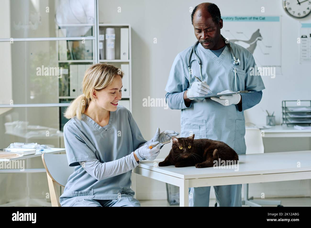 Nurse teamwork hi-res stock photography and images - Alamy