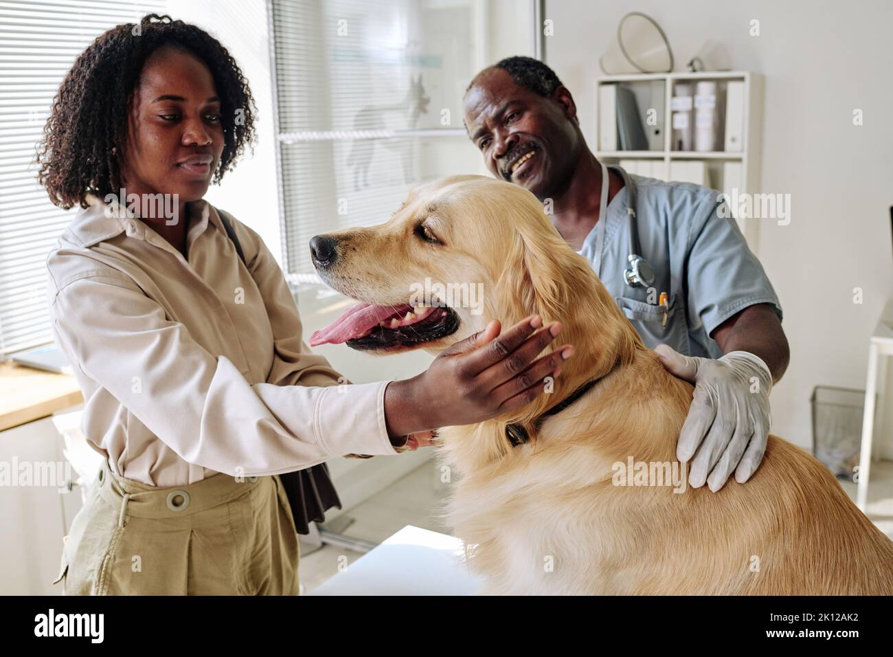 African woman with her dog visiting vet doctor at clinic Stock Photo ...