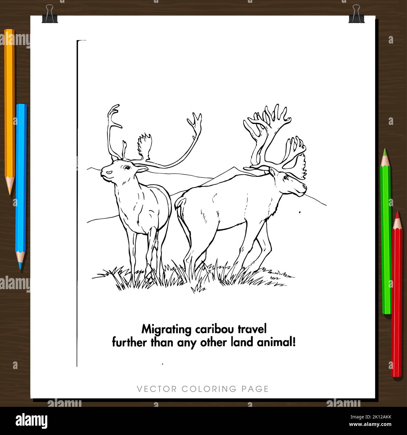 Caribou Coloring Pages