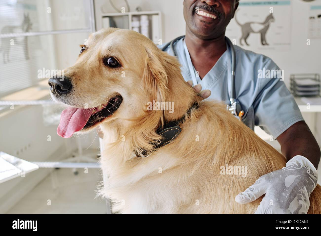 Portrait african mature vet hi-res stock photography and images - Alamy