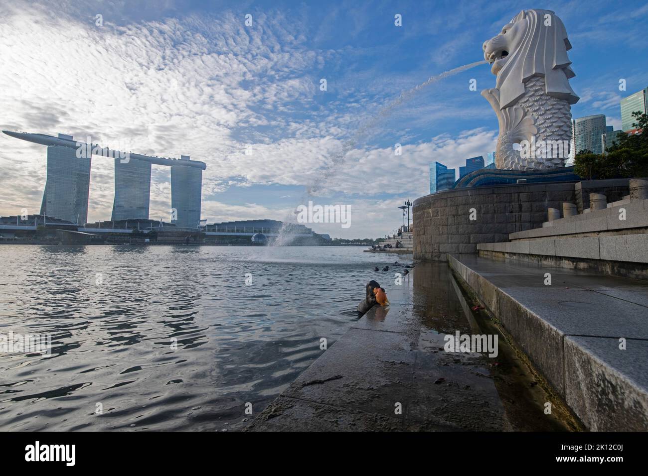 Singapore, Merlion Park in Singapore. 15th Sep, 2022. A family of wild ...