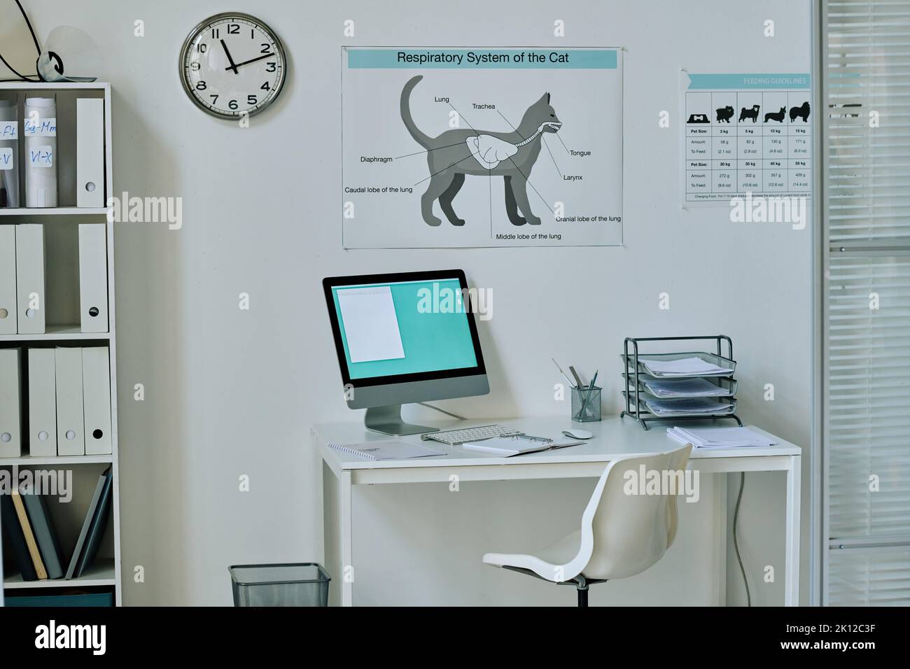 Horizontal image of workplace with computer monitor of vet doctor at ...