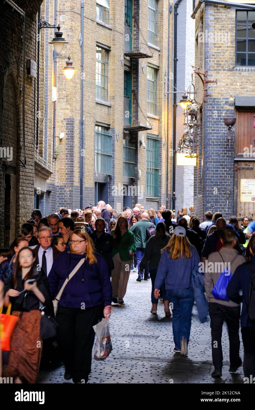Queue to view the Queen laying in state stretching from Westminster ...