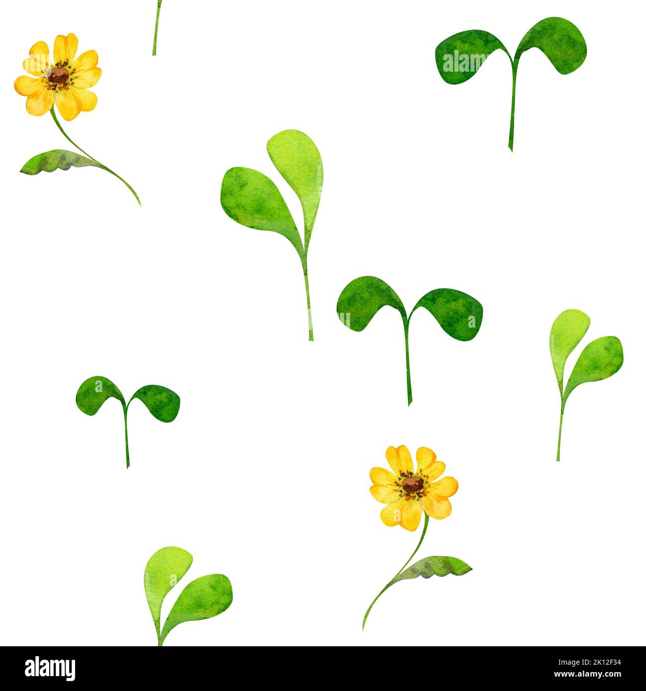 Watercolor hand drawn seamless pattern with green plants, flowers and ...