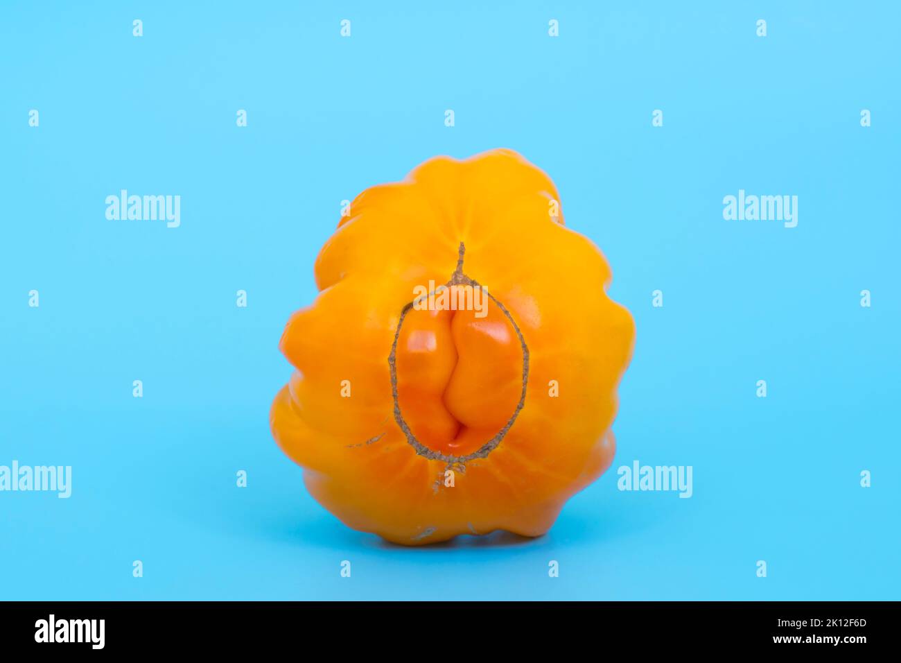 Ugly vegetables concept. Tomatoes of various unusual shapes on a blue ...