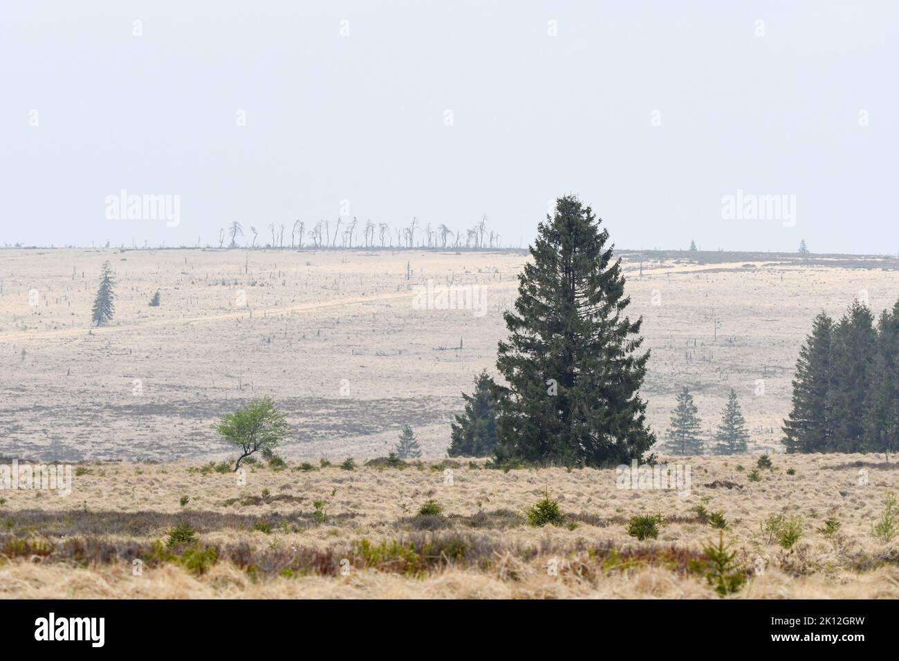 Views of the fens hi-res stock photography and images - Alamy