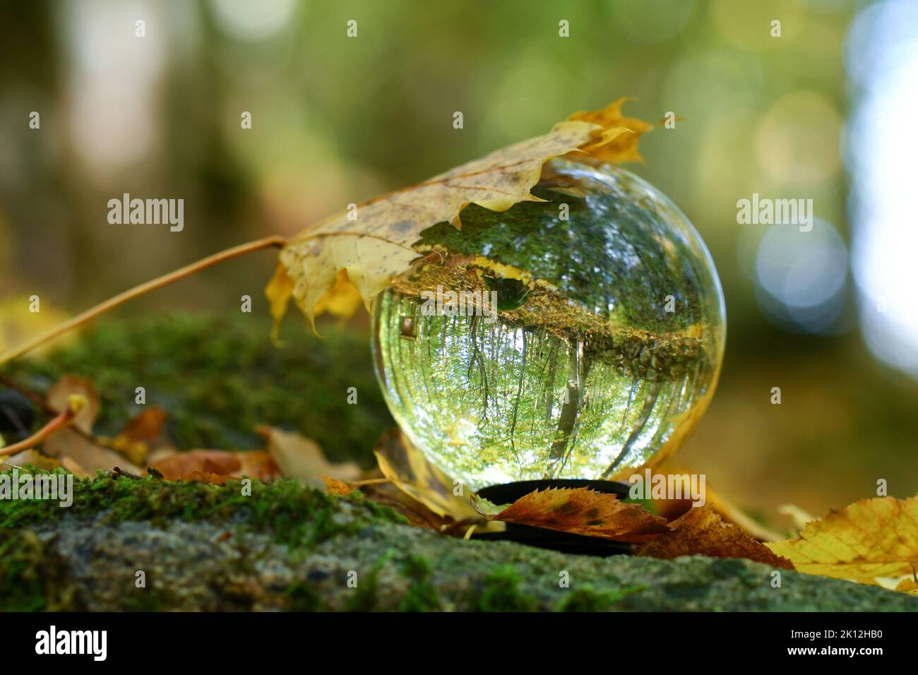 Crystal ball in nature hi-res stock photography and images - Alamy