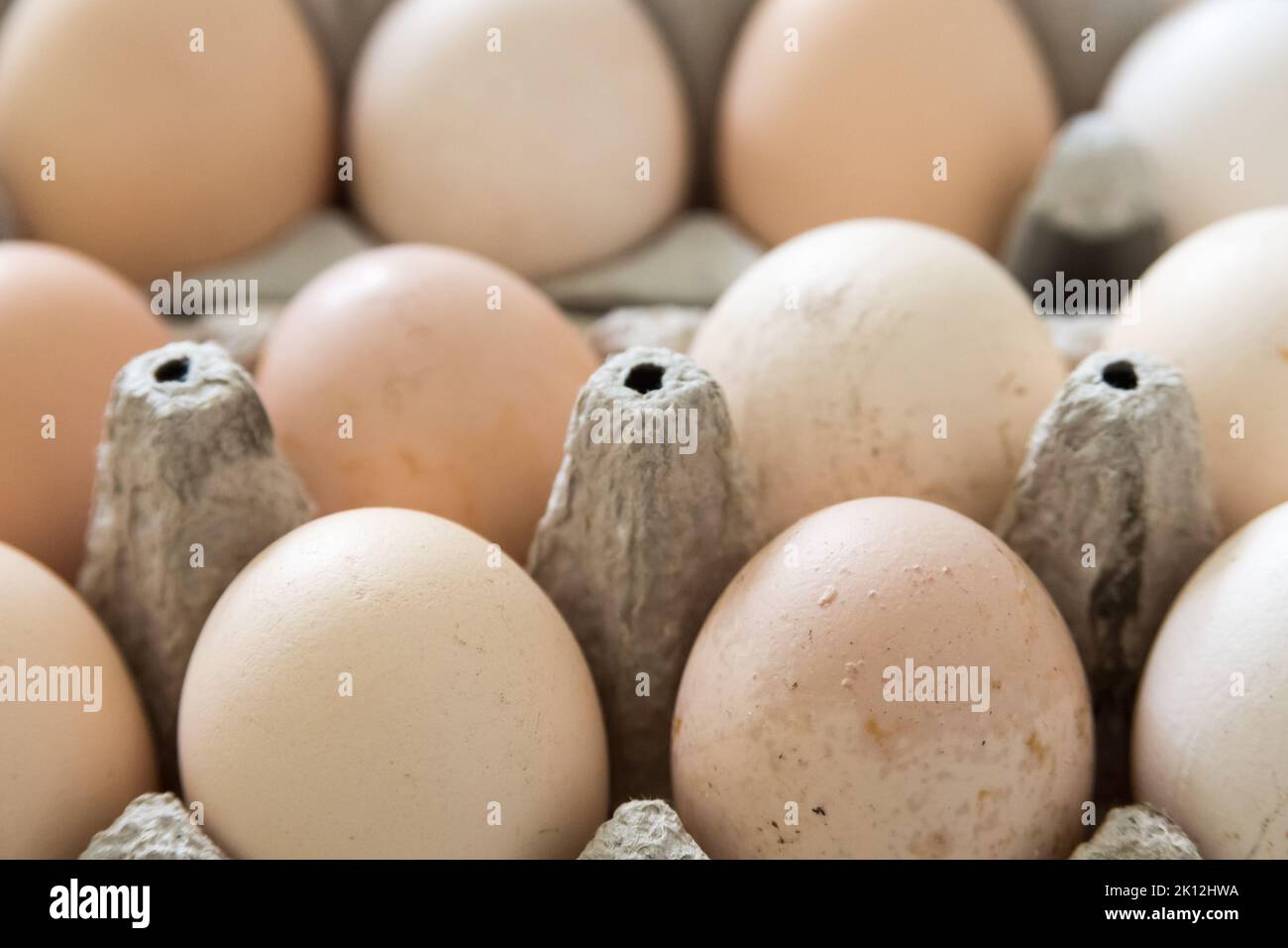 Organic fresh table eggs hi-res stock photography and images - Alamy