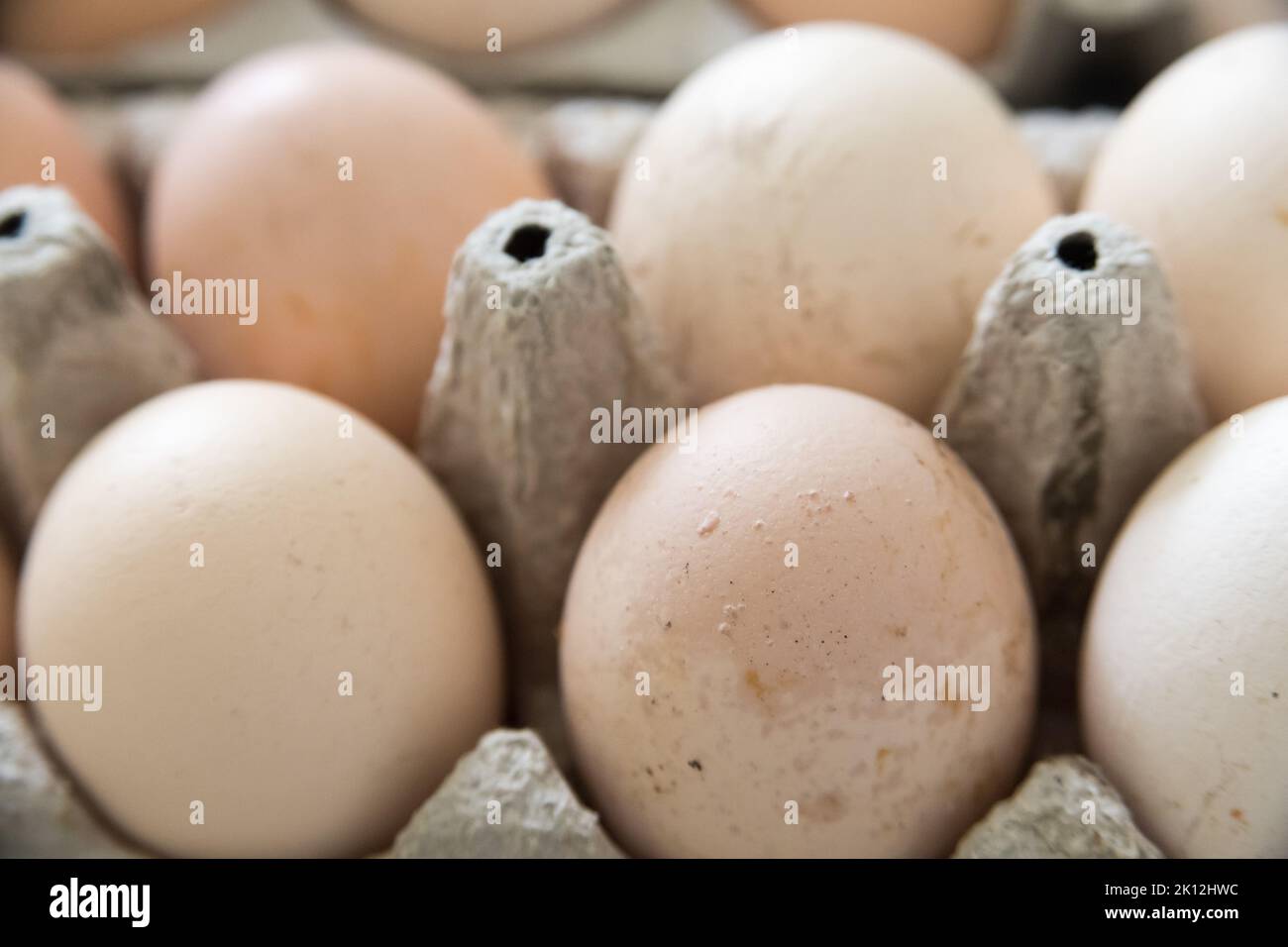 Organic fresh table eggs hi-res stock photography and images - Alamy