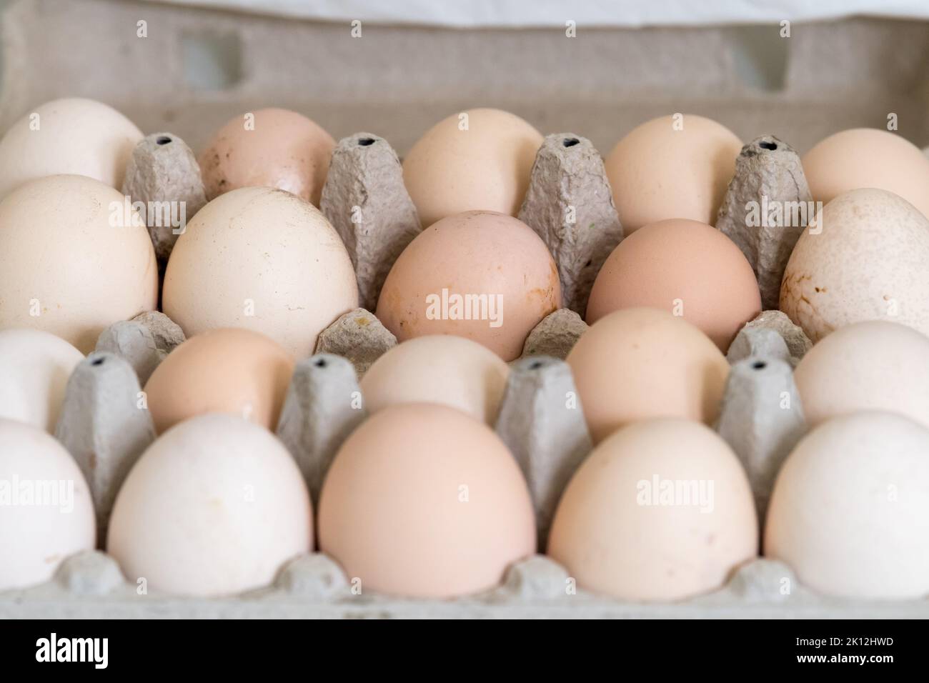 Organic fresh table eggs hi-res stock photography and images - Alamy