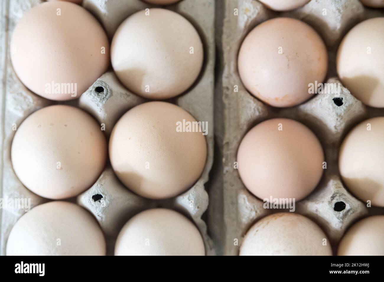 Organic fresh chicken table eggs hi-res stock photography and images ...