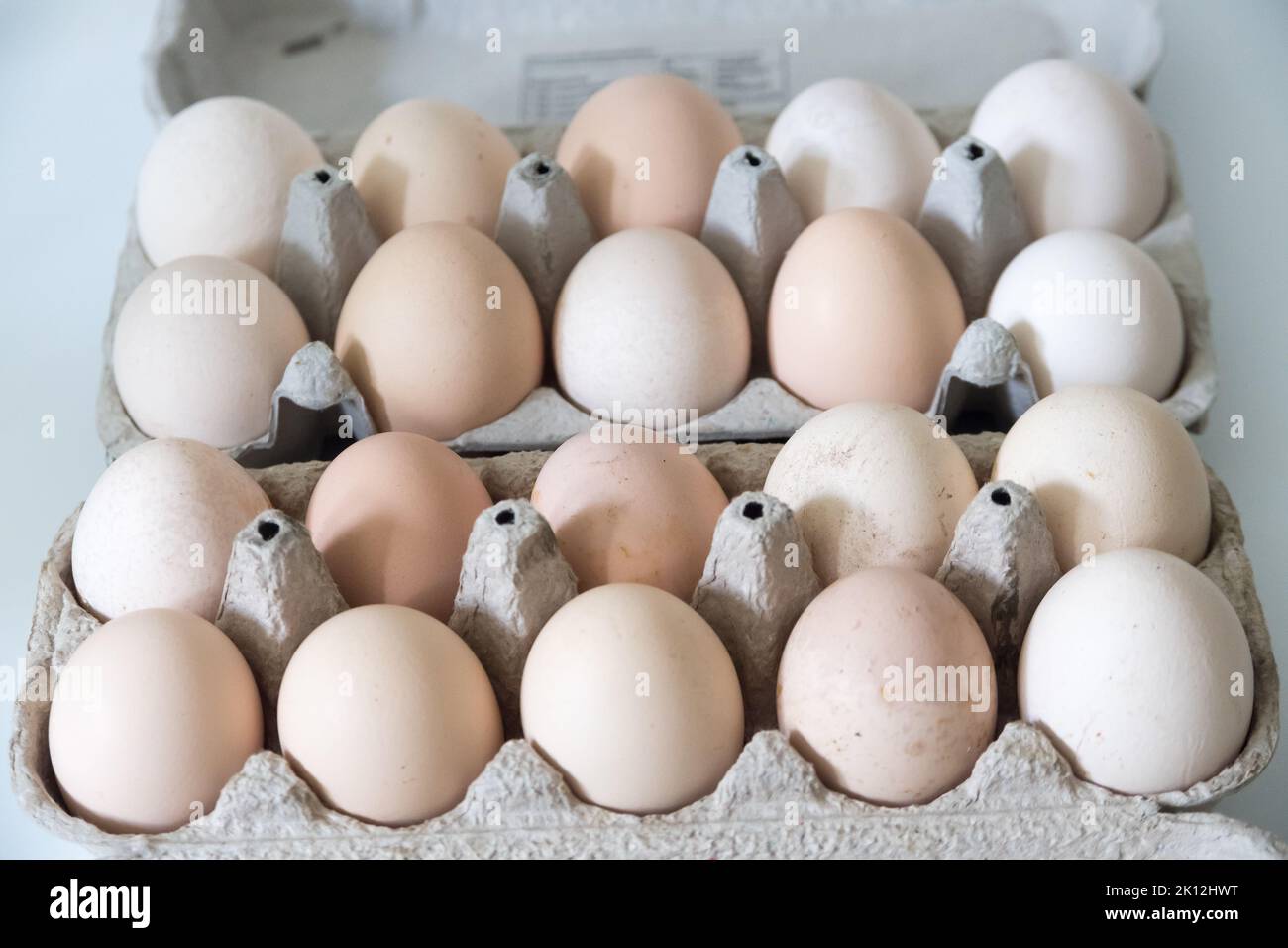 Organic fresh chicken table eggs © Wojciech Strozyk / Alamy Stock Photo ...