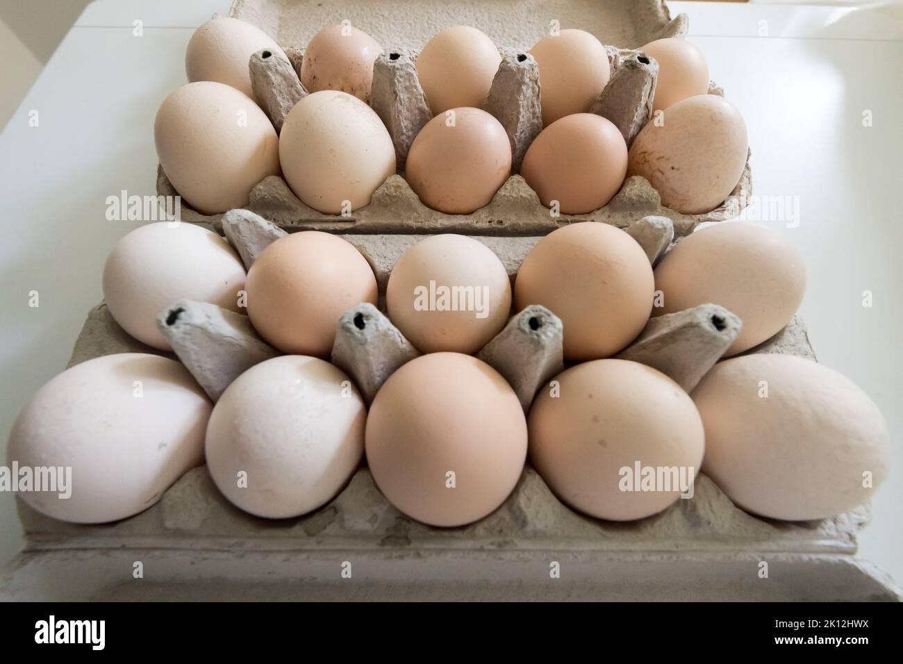 Organic fresh chicken table eggs © Wojciech Strozyk / Alamy Stock Photo ...