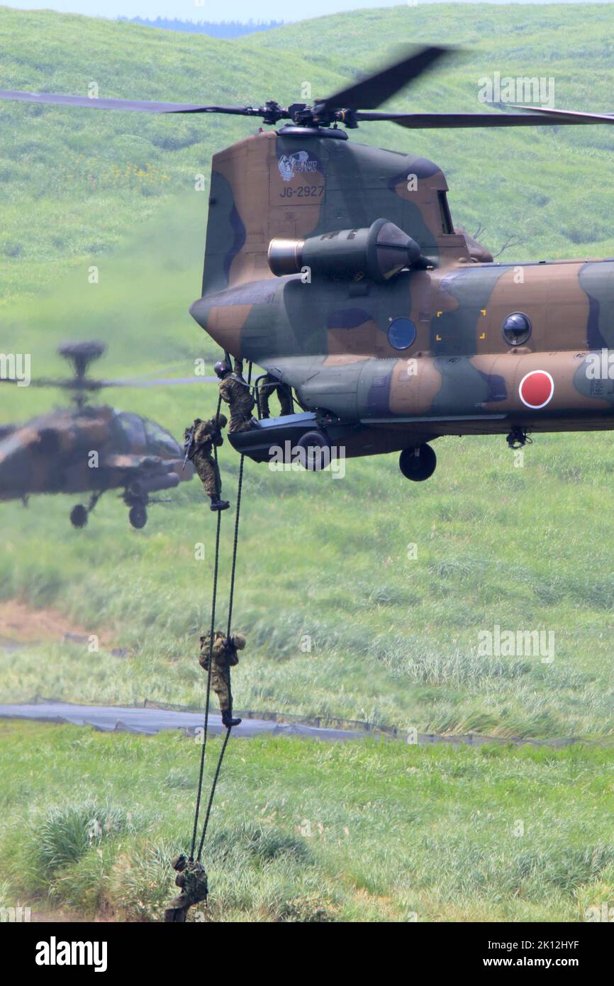 The Boeing CH-47 Chinook of Japan Ground Self-Defense Force Stock Photo ...