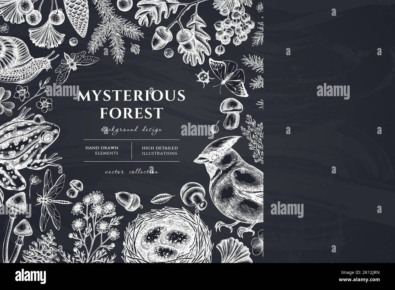 Mysterious forest hand drawn illustration design. Background with chalk ...