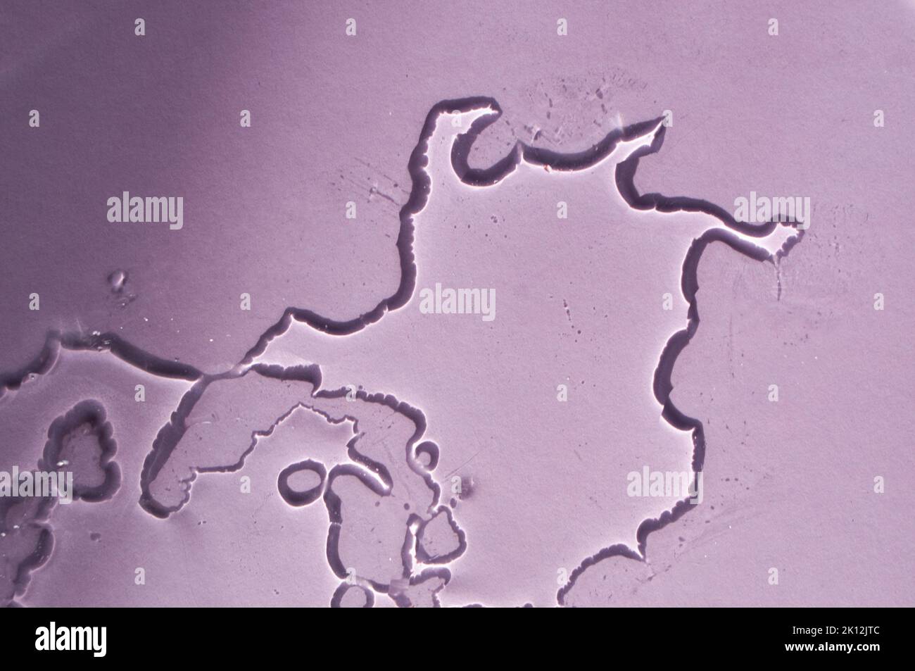 Abstract liquid background purple cosmetic beauty conceptAbstract ...