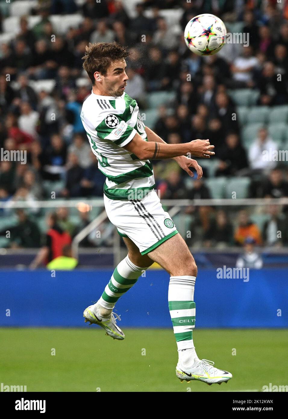 Poland champions hi-res stock photography and images - Alamy