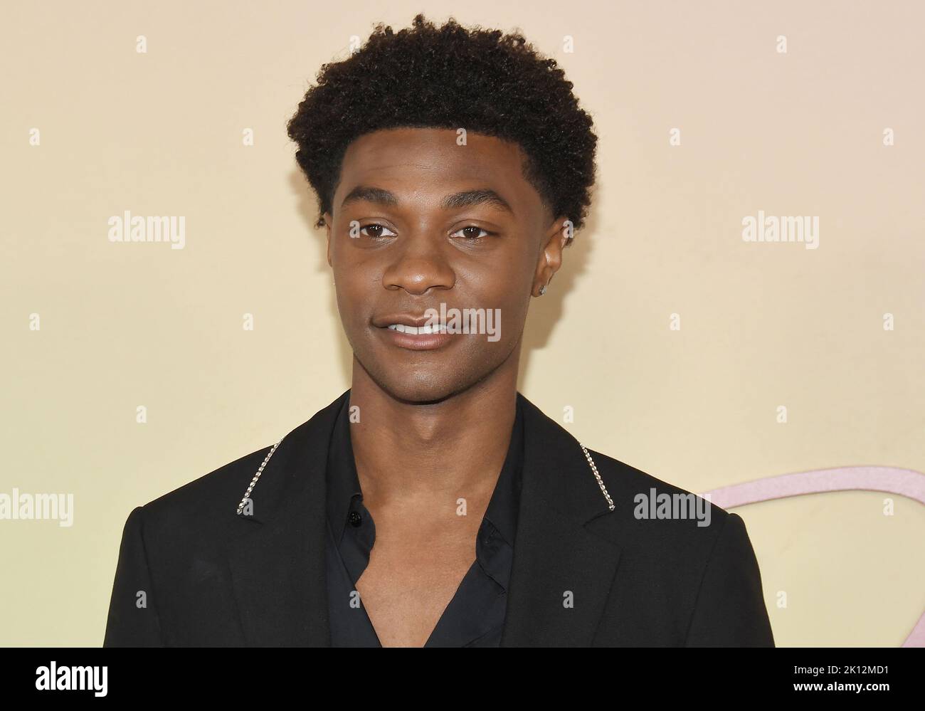 Los Angeles, USA. 14th Sep, 2022. Jonathan Daviss arrives at Netflix's ...