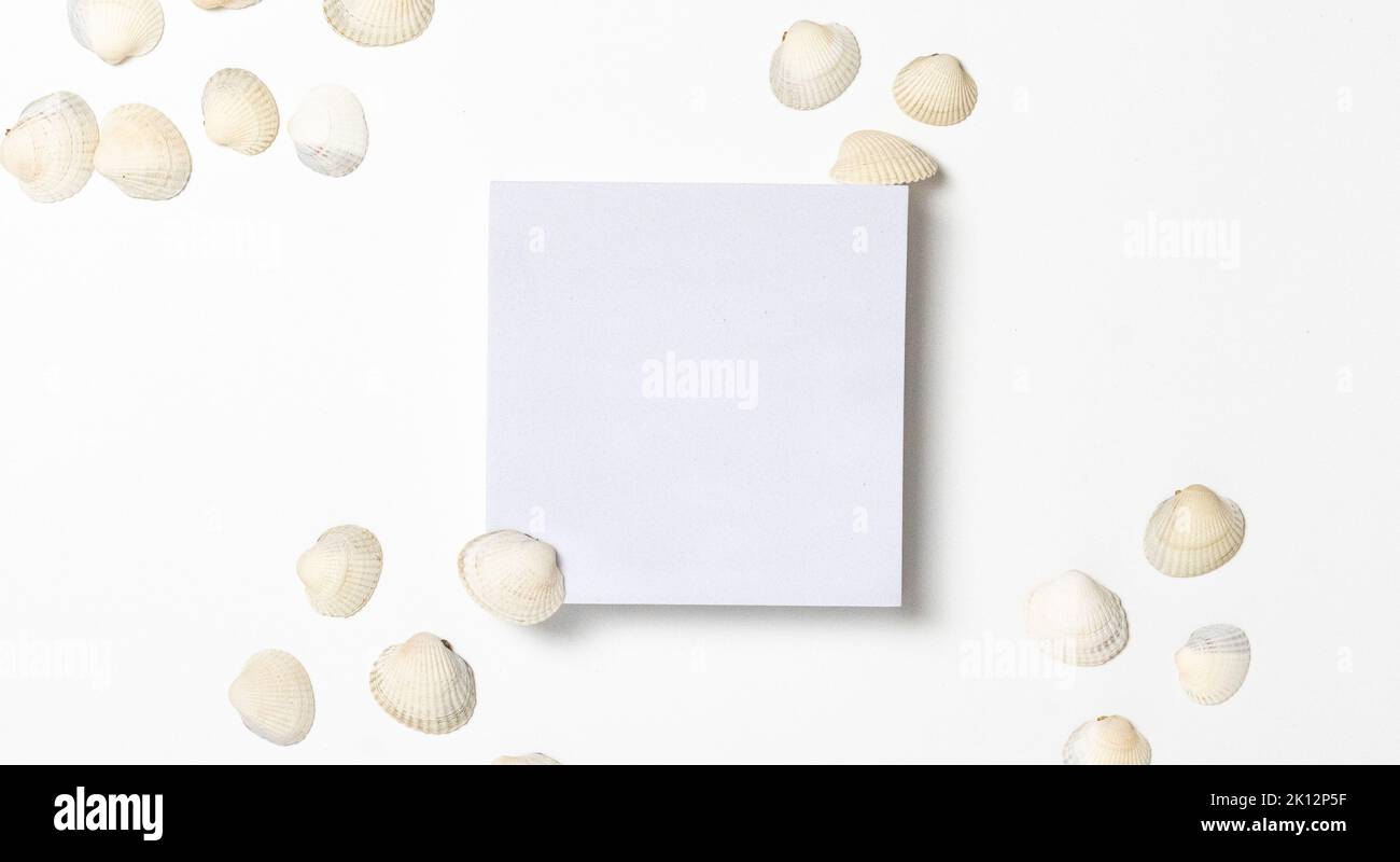 Overhead of sea shells and square on white background Stock Photo - Alamy